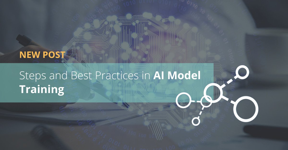Steps and Best Practices in AI Model Training